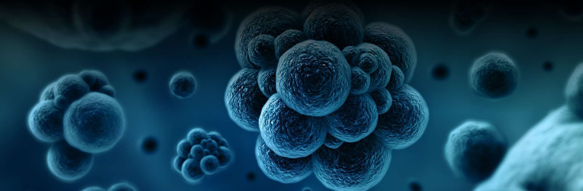 Infectious Disease CRO